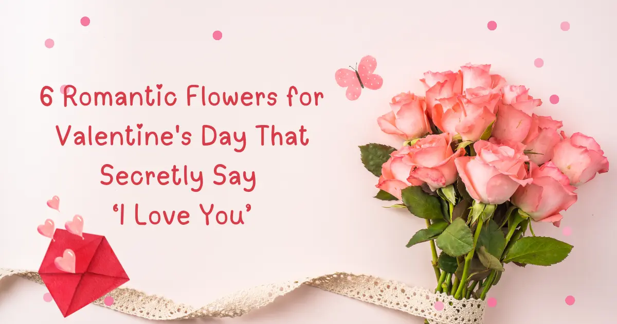 6 Romantic Flowers for Valentine’s Day That Secretly Say ‘I Love You ...